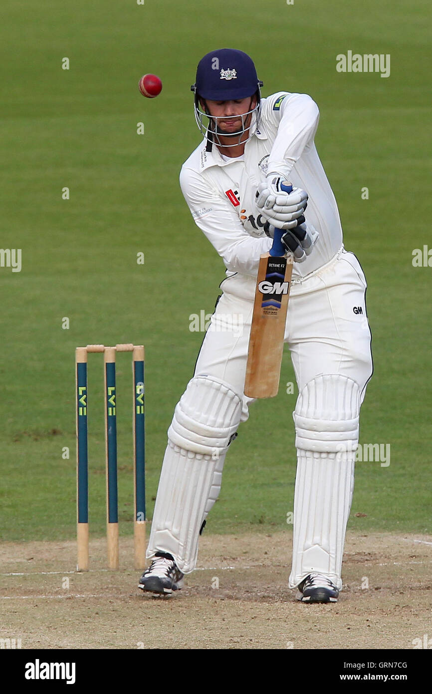 Alex Gidman in batting action for Gloucestershire - Gloucestershire CCC ...