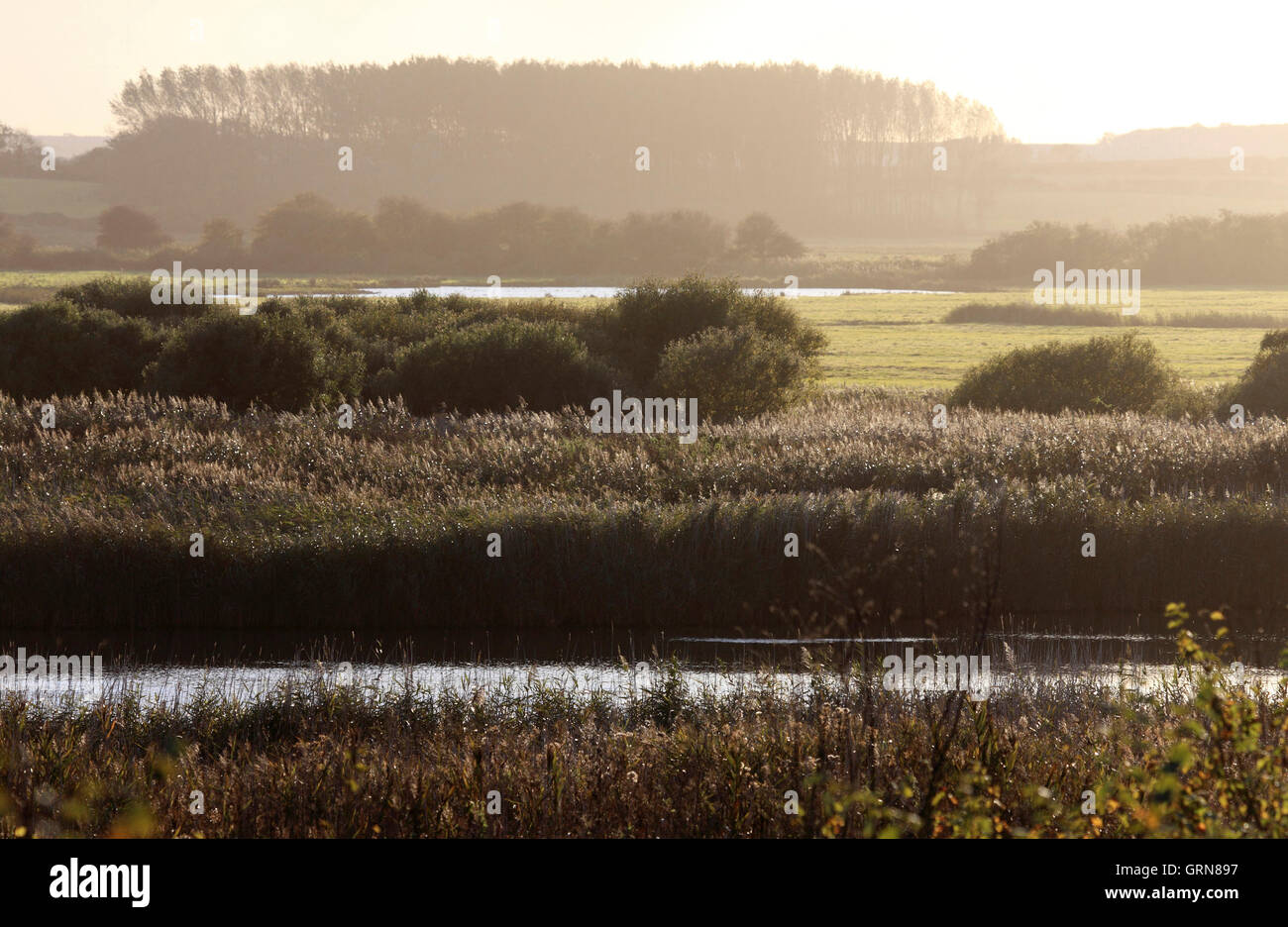 Holkham Nature Reserve, Norfolk, UK Stock Photo - Alamy