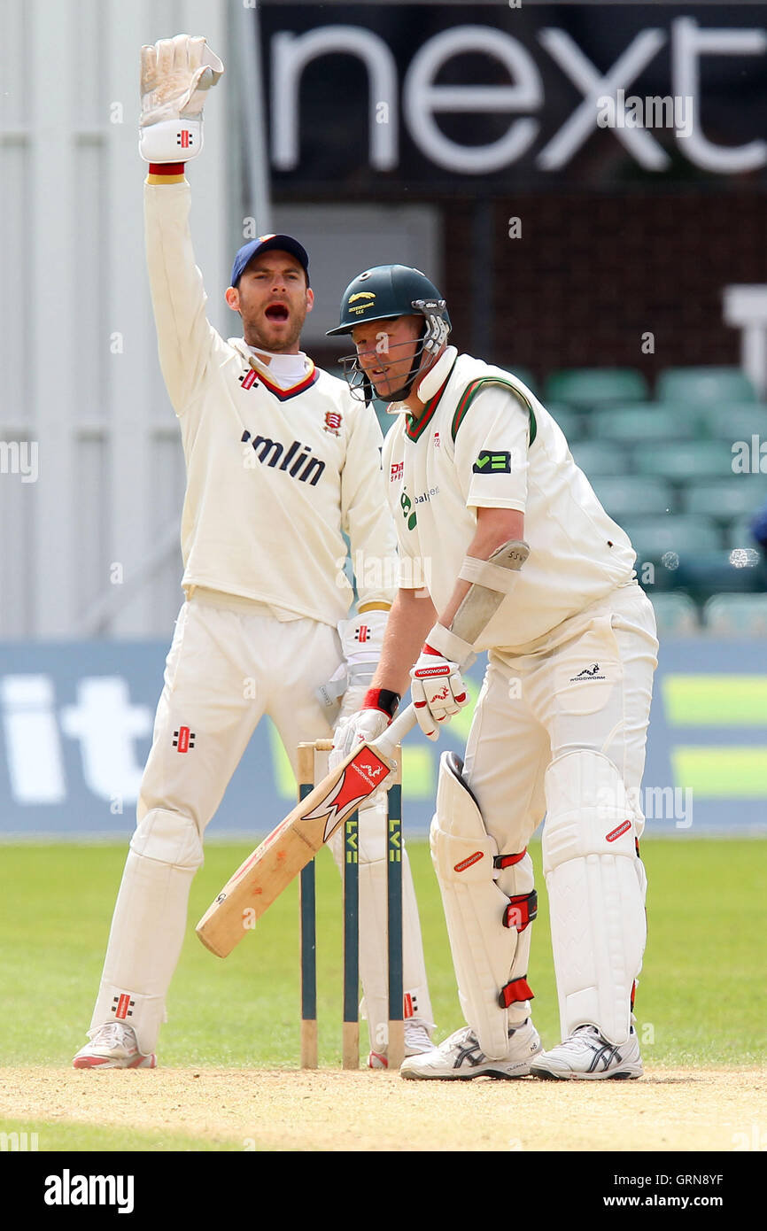 Sport cricket action matthew hoggard hi-res stock photography and ...