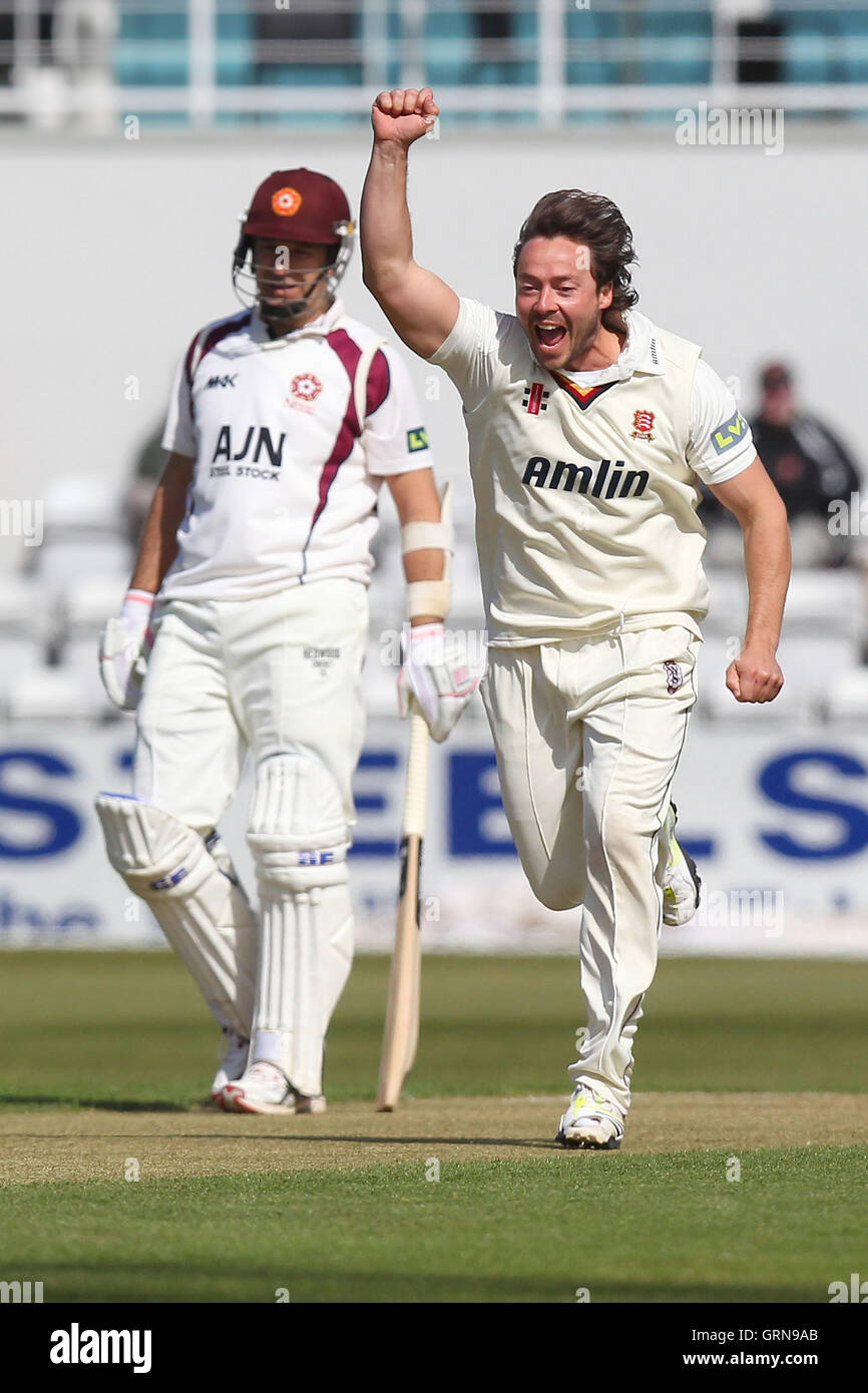 Graham Napier of Essex takes the wicket of Rob Newton with the first ...