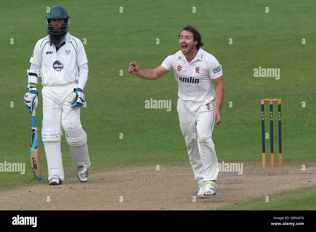 Graham Napier of Essex appeals for the wicket of Daryl Mitchell ...