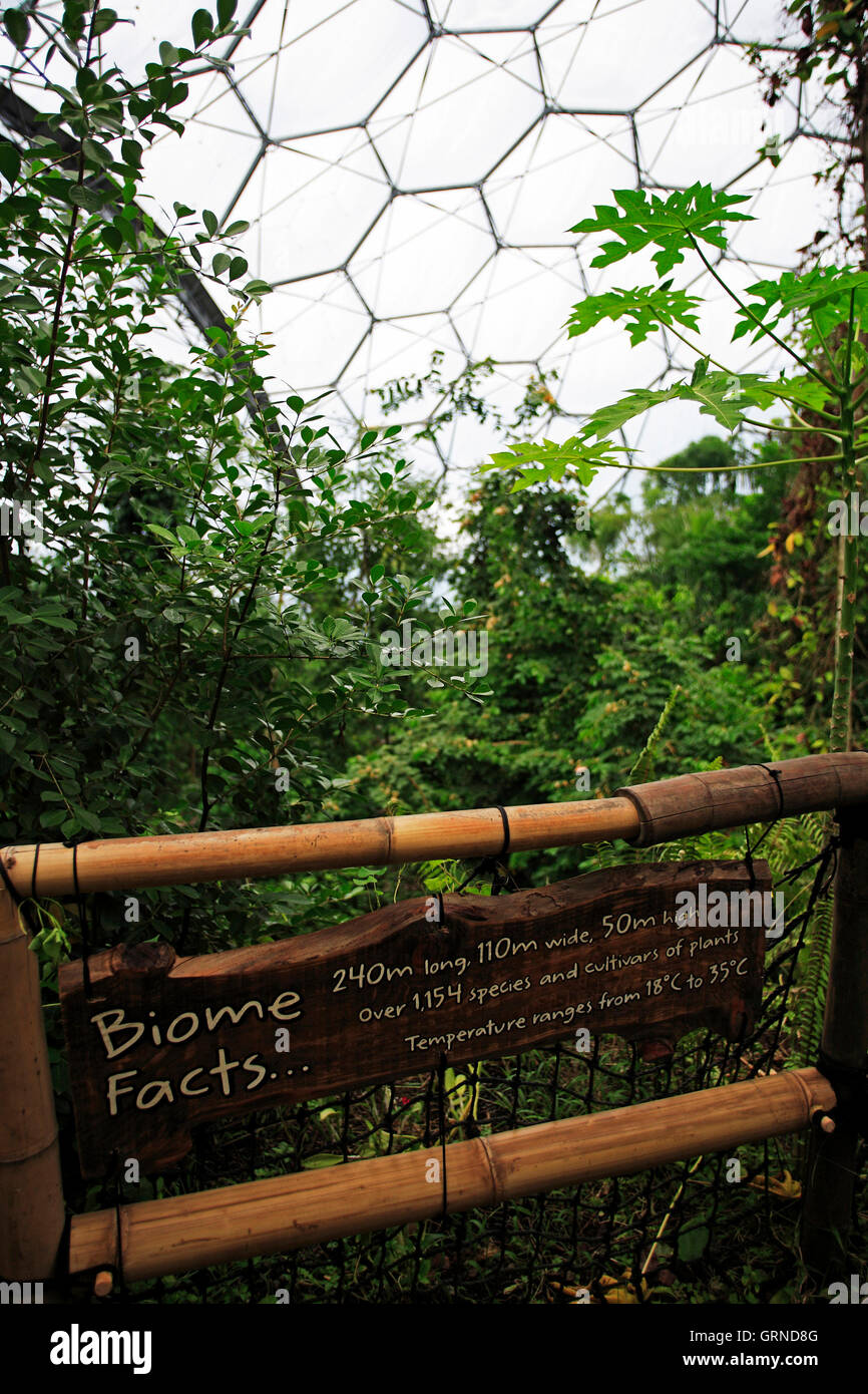 Rain Forest Biomes High Resolution Stock Photography and Images - Alamy