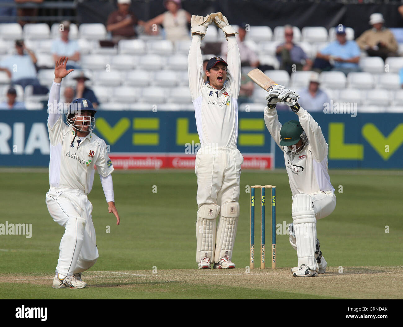 Mark Pettini (left) and James Foster appeal for the wicket of ...