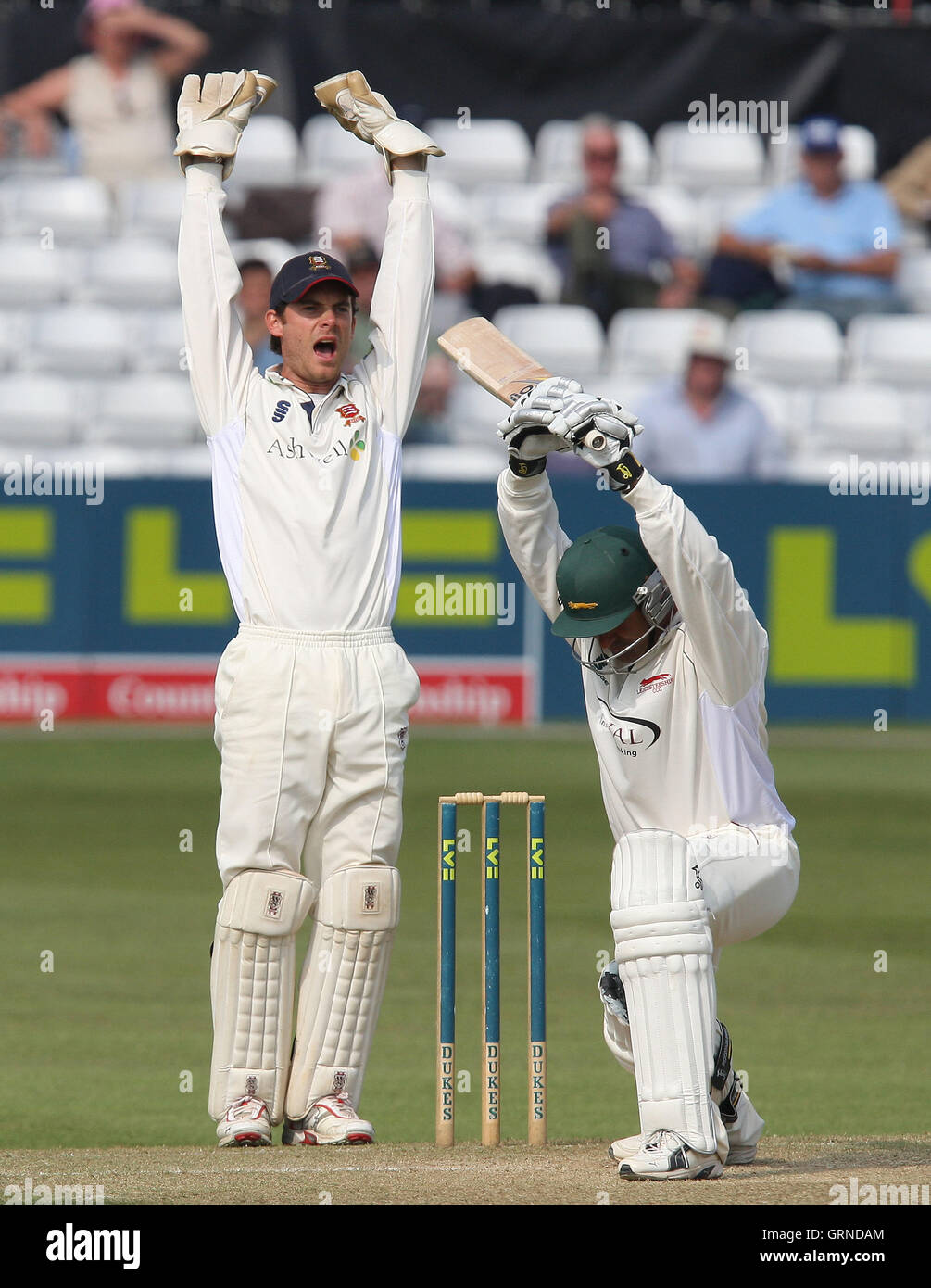James Foster appeals for the wicket of Leicestershire batsman Hylton ...