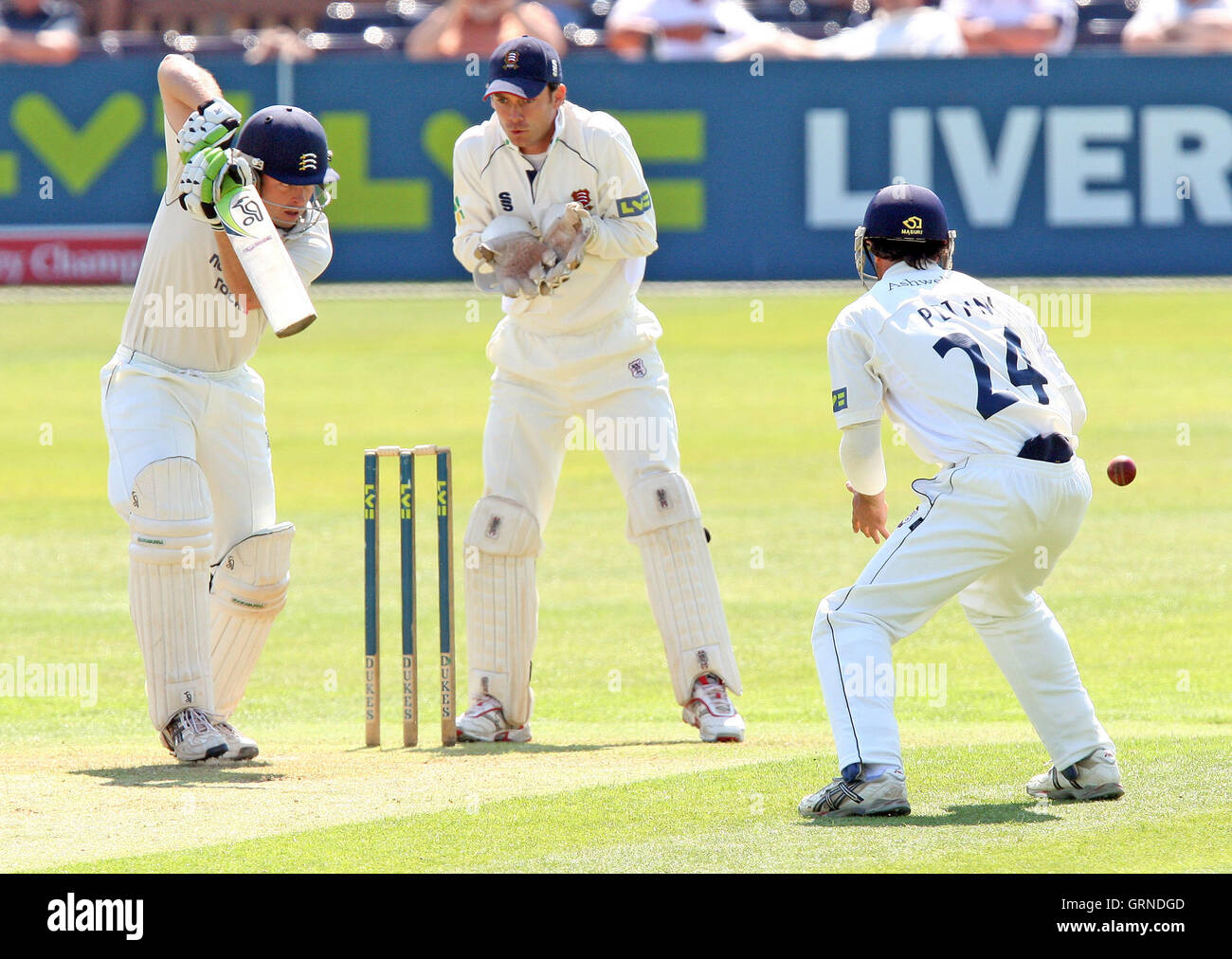 Cricket james joyce hi-res stock photography and images - Alamy