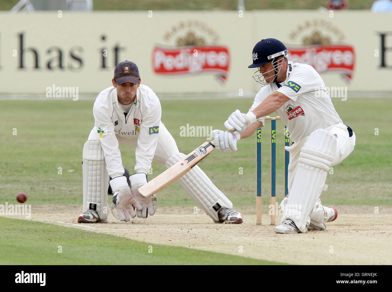 Steve Adshead in batting action for Gloucestershire as James Foster ...