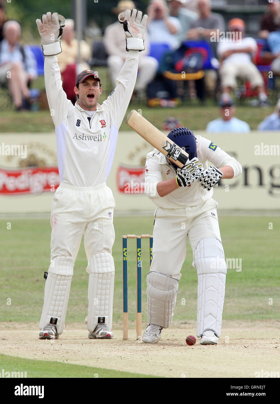 James Foster of Essex appeals for the wicket of Ian Saxelby of ...