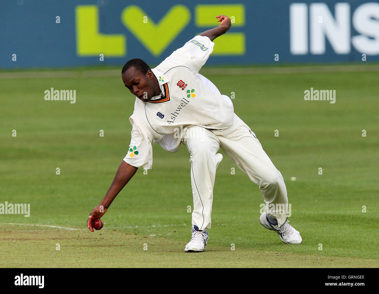 Essex summer fields hi-res stock photography and images - Alamy