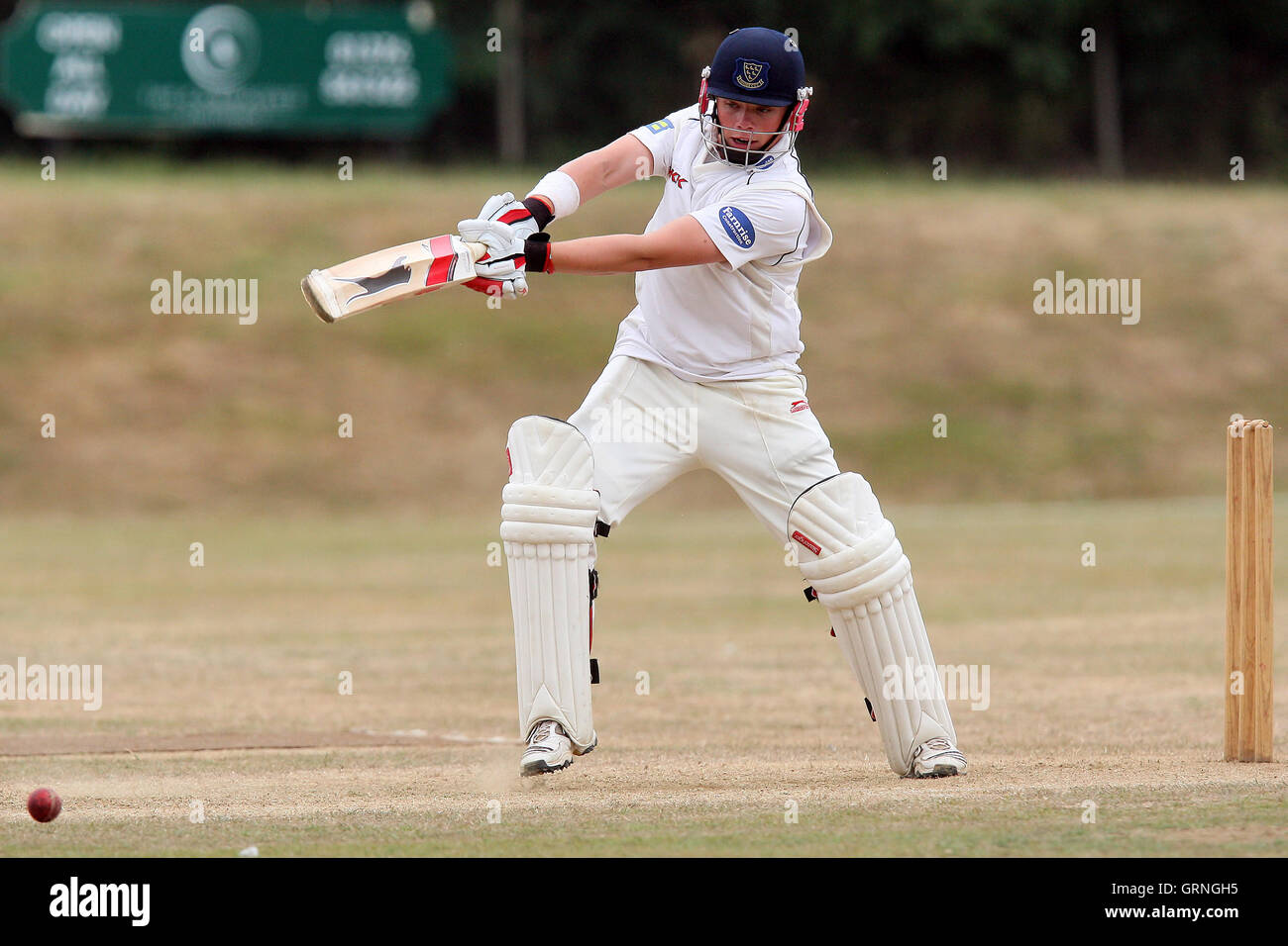 Matt machan sussex hi-res stock photography and images - Alamy