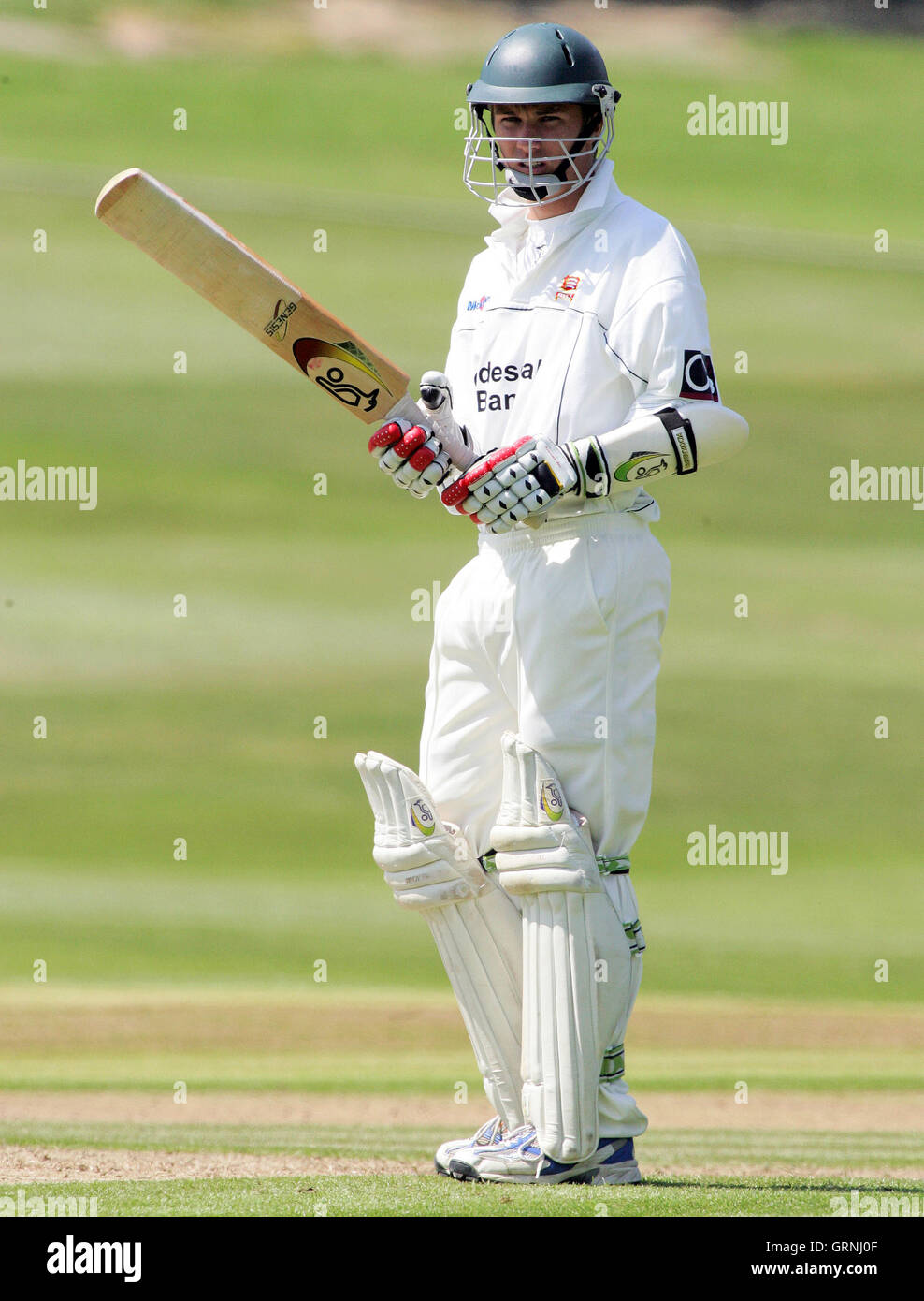 Querl hi-res stock photography and images - Alamy