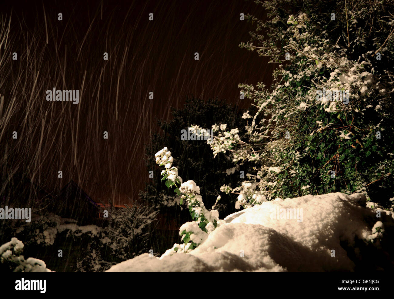 Snow falling at night, Kent, UK Stock Photo - Alamy