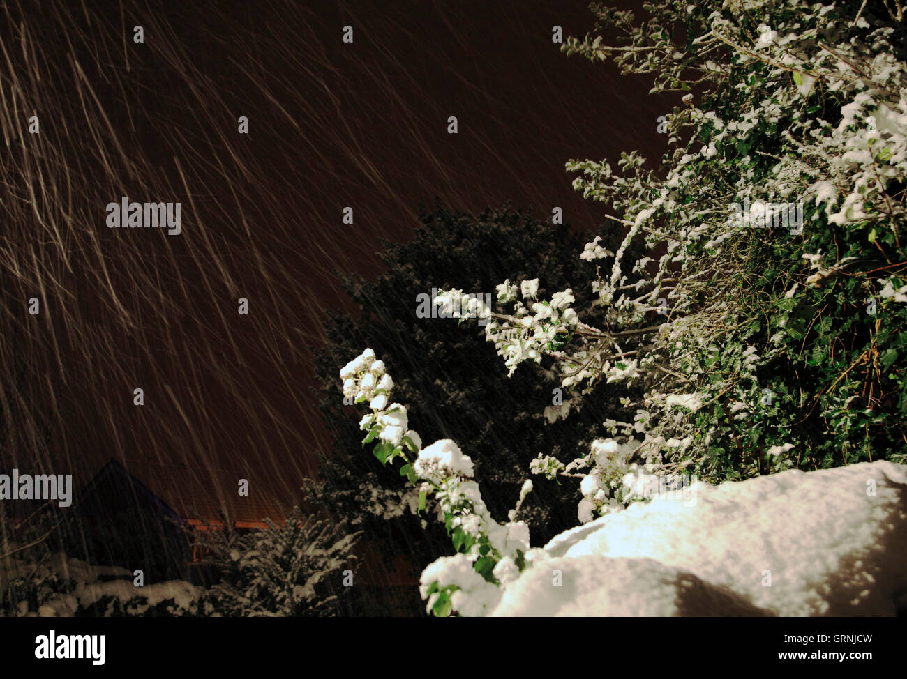 Snow falling at night, Kent, UK Stock Photo - Alamy