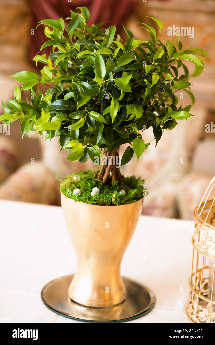 Wedding floral design. The Golden pot is on the table Stock Photo - Alamy