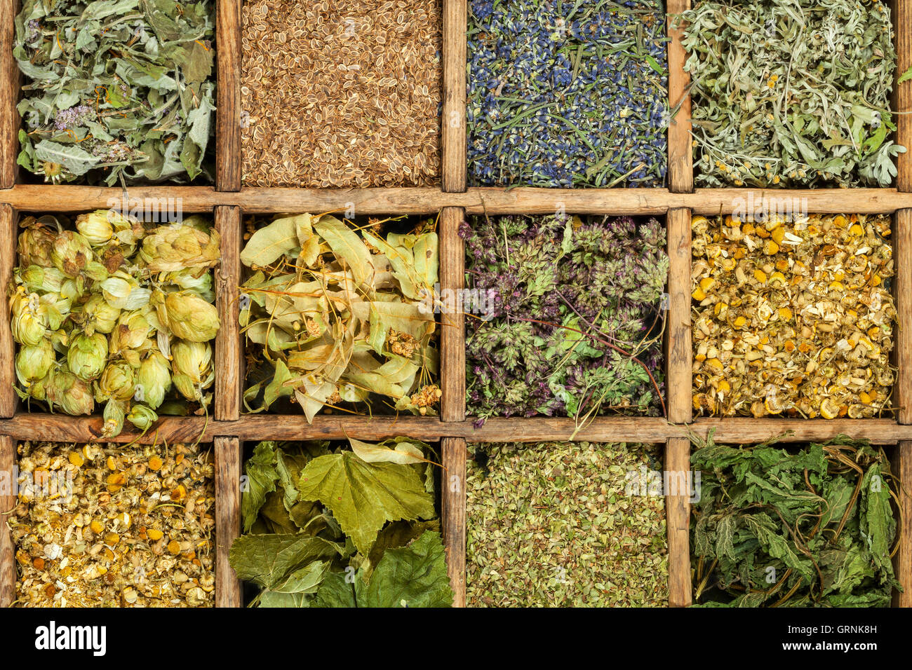 Natural medicinal plant hi-res stock photography and images - Alamy
