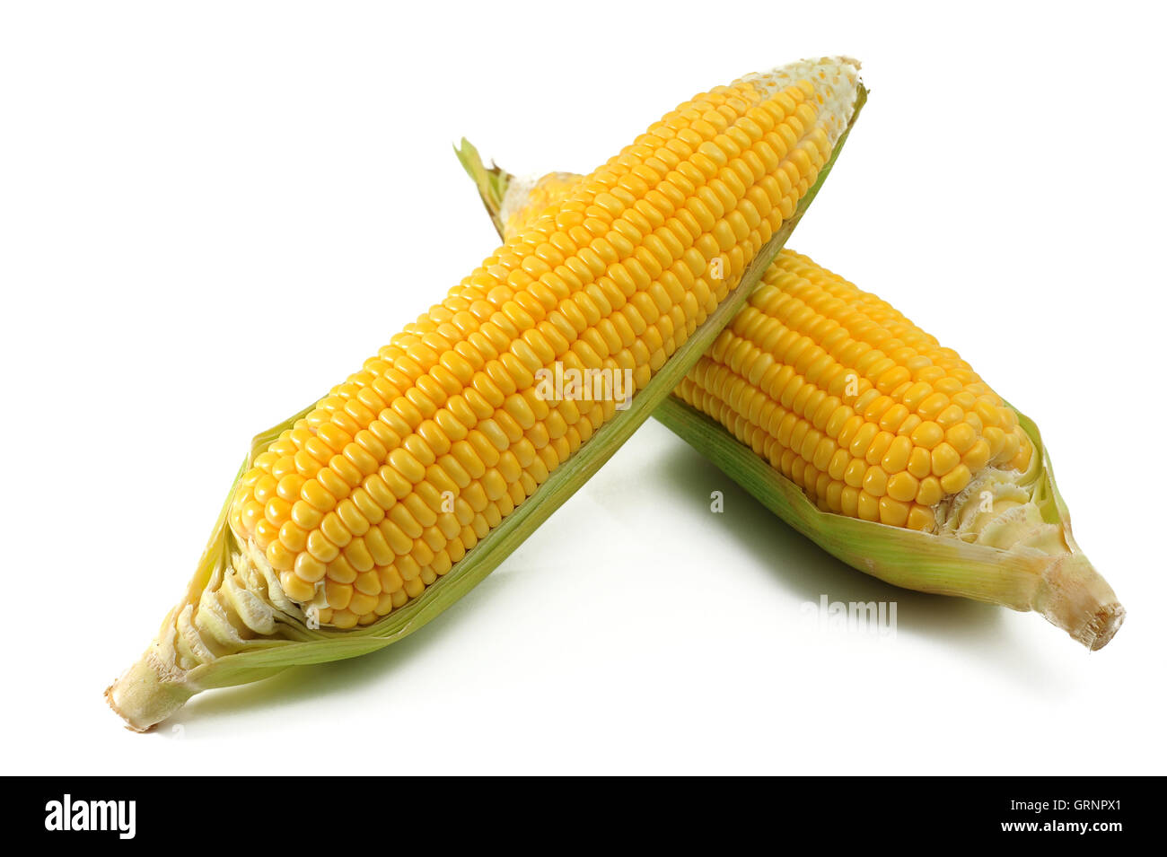 Crop corn Cut Out Stock Images & Pictures - Alamy