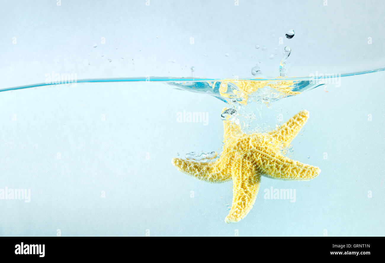 Starfish in the water Stock Photo - Alamy