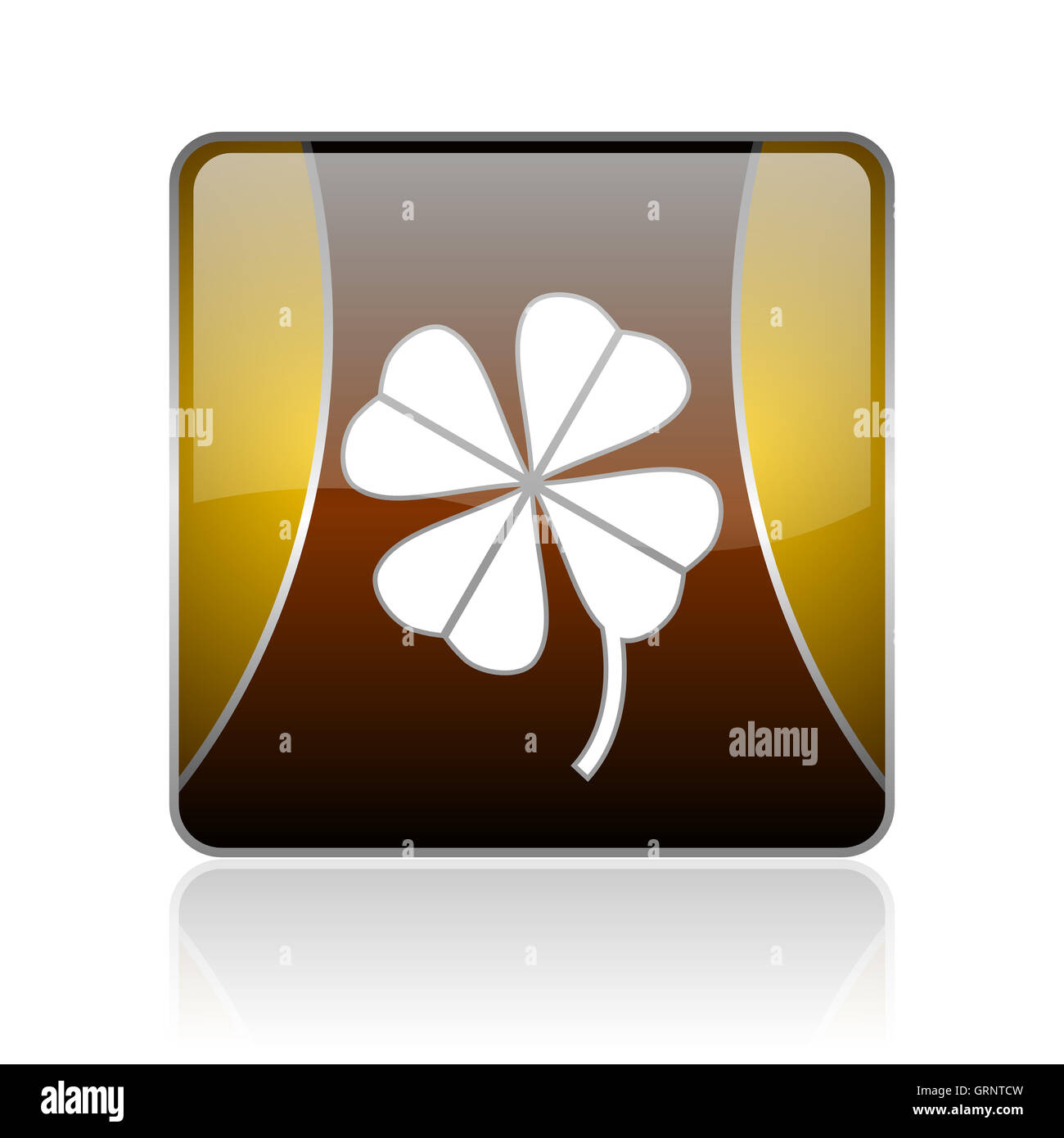 four-leaf clover golden square web glossy icon Stock Photo - Alamy