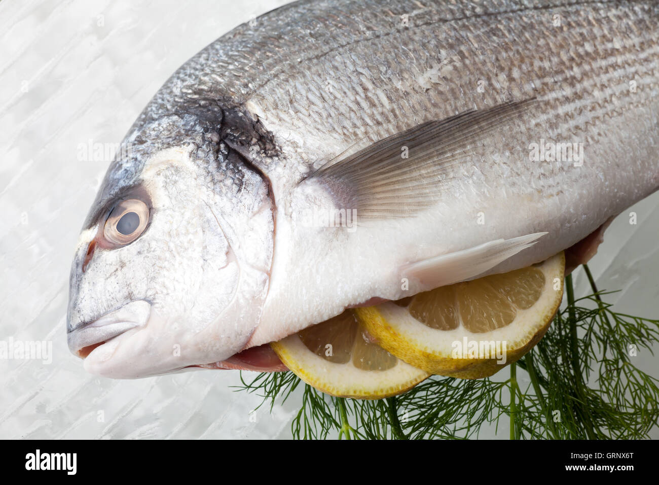 raw bream on crushed ice Stock Photo - Alamy