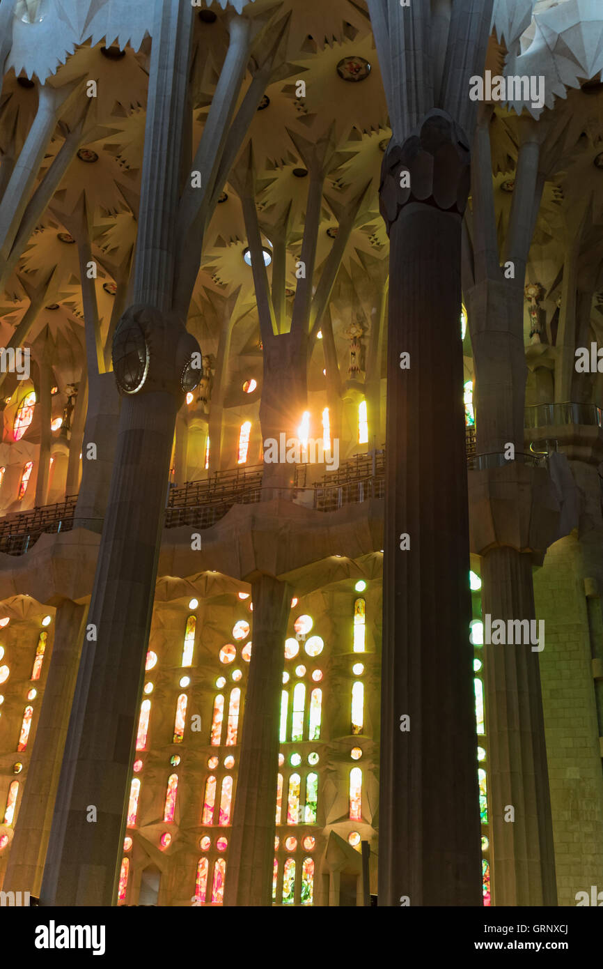 Gaudi la sagrada familia drawing hi-res stock photography and images ...