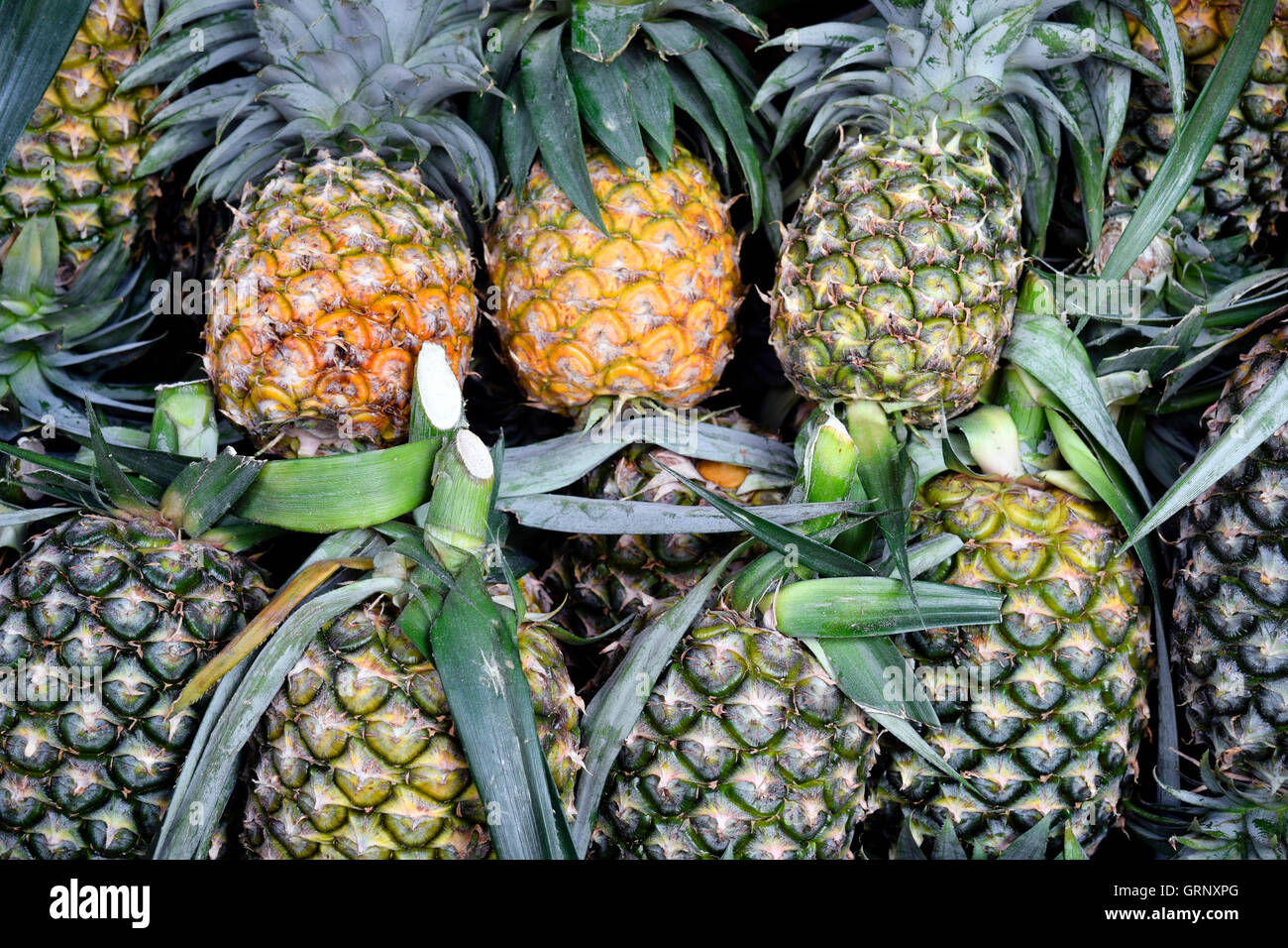 Pineapple Fruit Display High Resolution Stock Photography and Images ...
