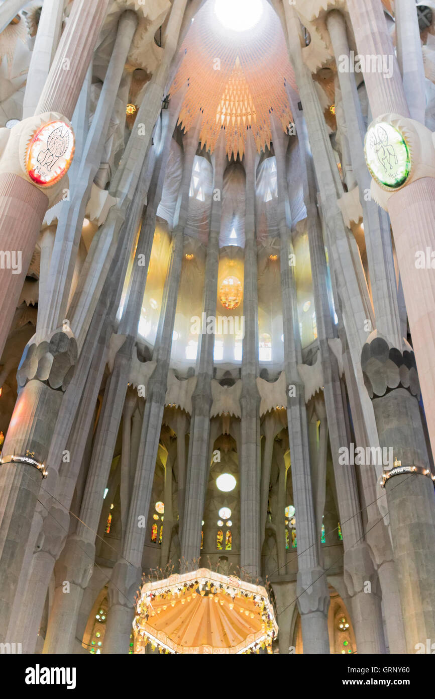 Gaudi la sagrada familia drawing hi-res stock photography and images ...
