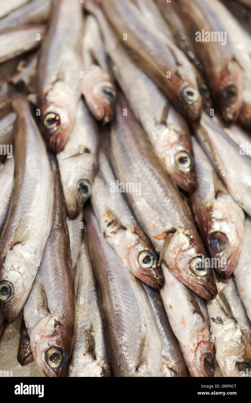 Fresh fish for sale at the seafood market, close-up view Stock Photo ...