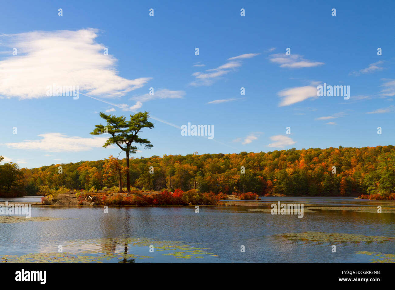Fall landscape with the forest lake at sunset Stock Photo - Alamy
