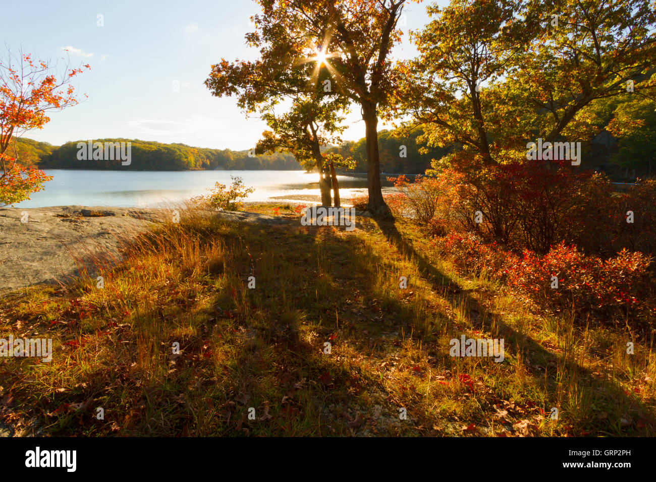 Fall landscape with the forest lake at sunset Stock Photo - Alamy