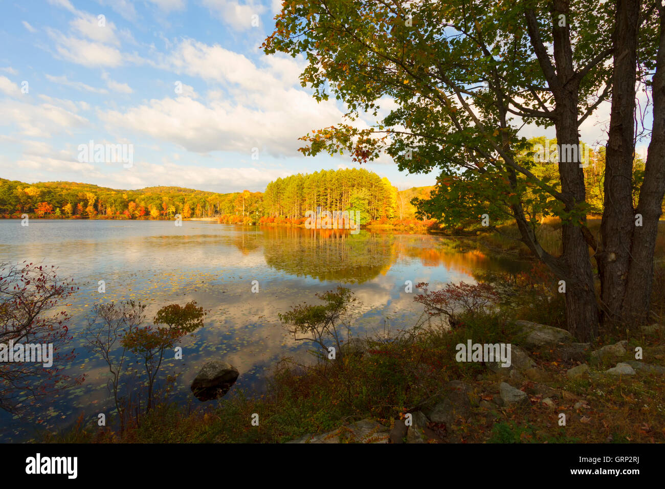 Fall landscape with the forest lake at sunset Stock Photo - Alamy