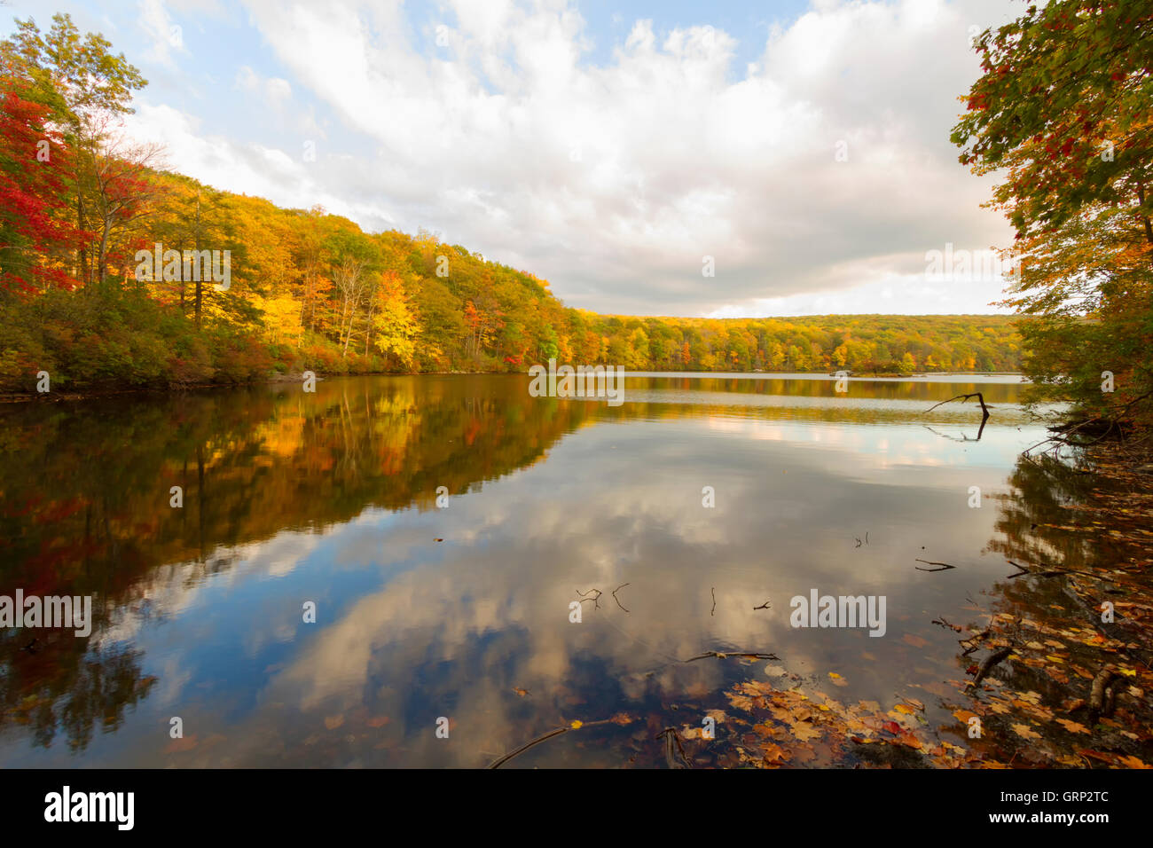 Fall landscape with the forest lake at sunset Stock Photo - Alamy