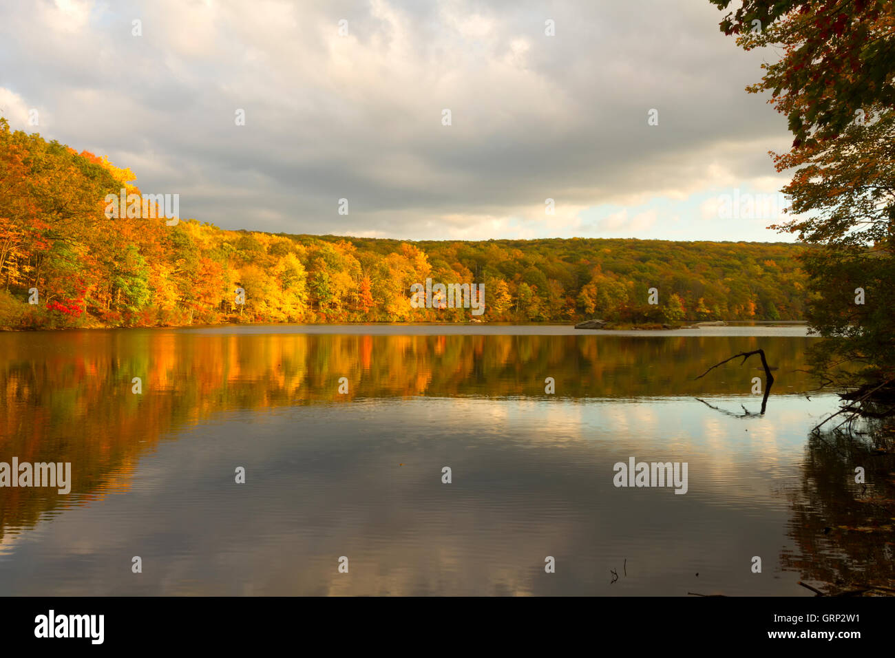 Fall landscape with the forest lake at sunset Stock Photo - Alamy