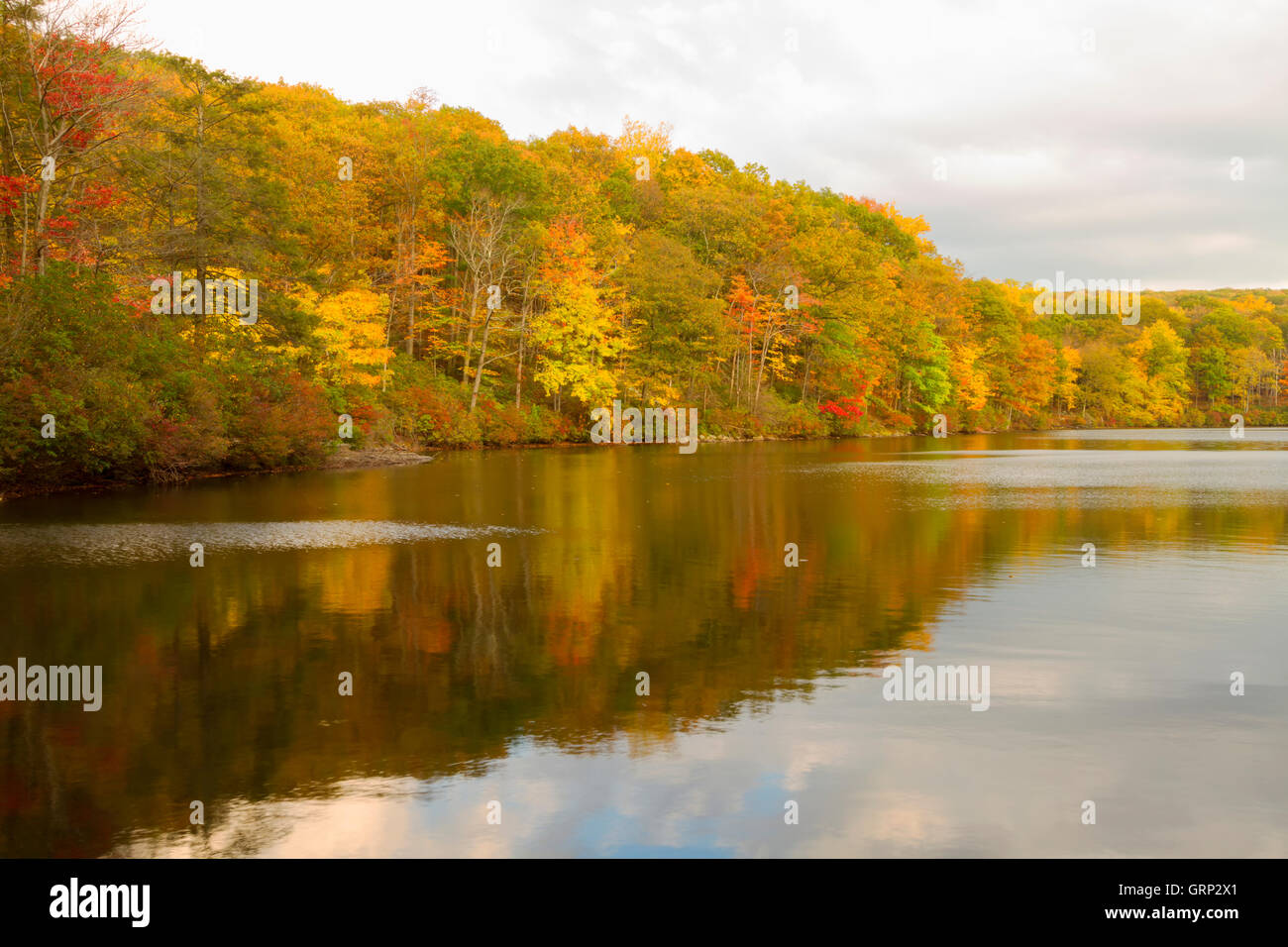 Fall landscape with the forest lake at sunset Stock Photo - Alamy