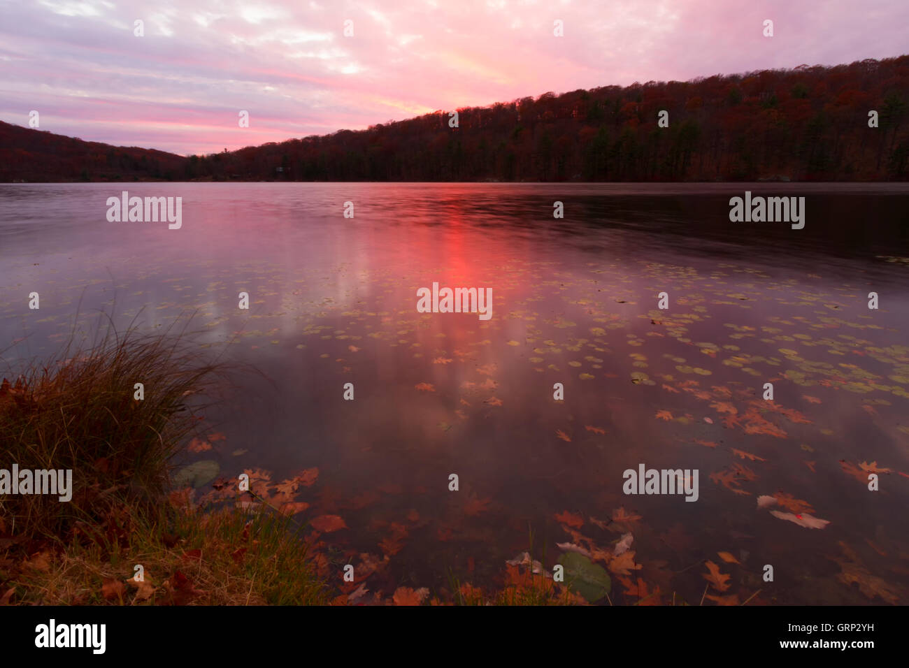 Fall landscape with the forest lake at sunset Stock Photo - Alamy
