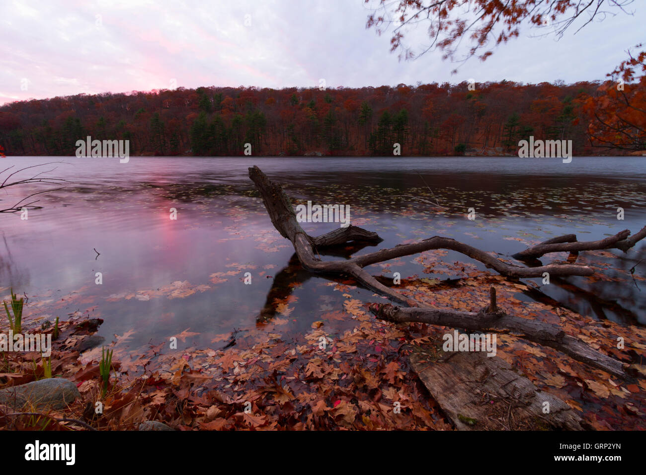 Fall landscape with the forest lake at sunset Stock Photo - Alamy