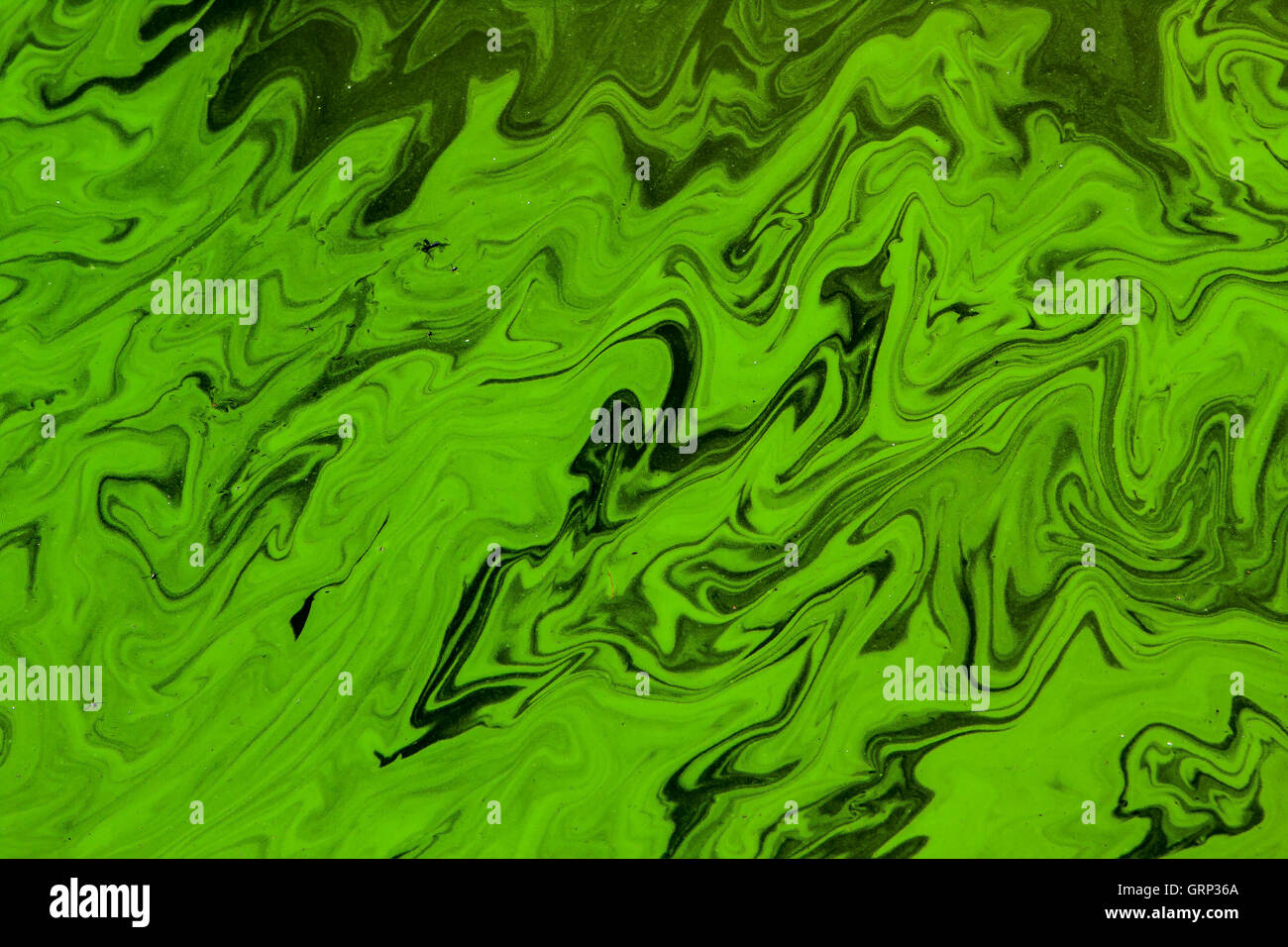 Dark algae hi-res stock photography and images - Alamy