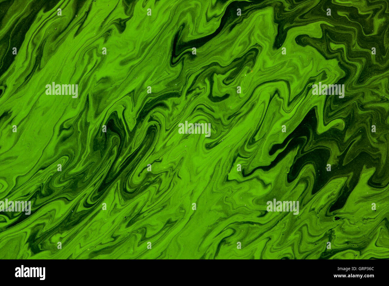 Algae pattern hi-res stock photography and images - Alamy
