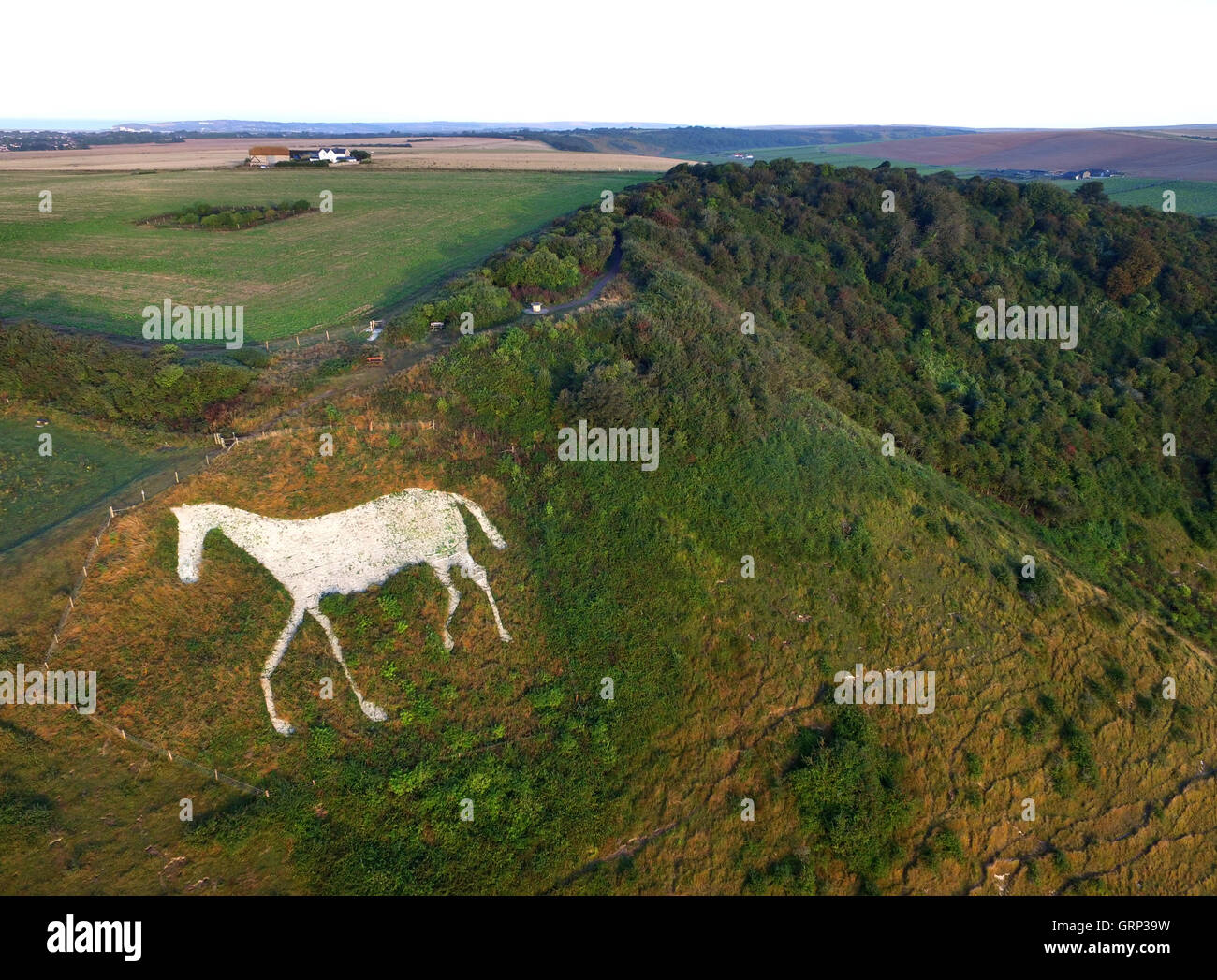 Aerial image of a white chalk horse cut into the side on High and Over ...