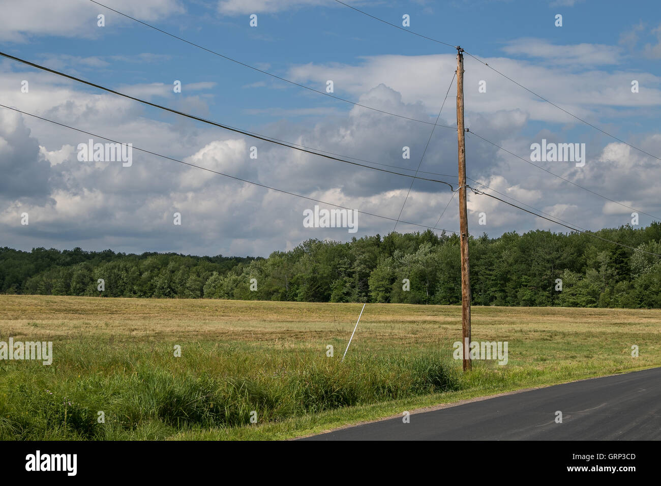 Old wooden utility pole hi-res stock photography and images - Alamy