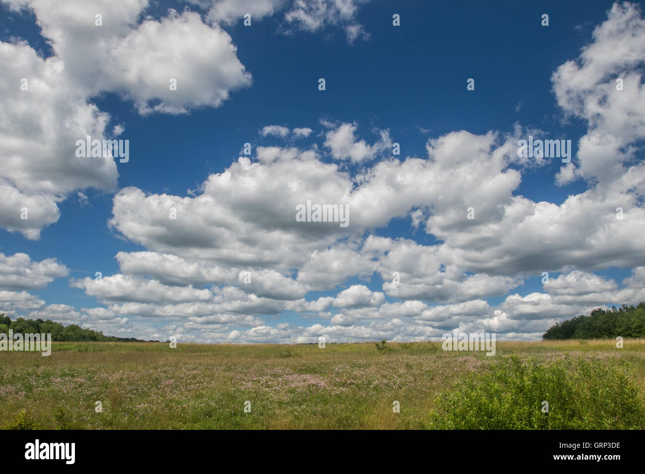 Sky field landscape sunny green clouds hi-res stock photography and ...