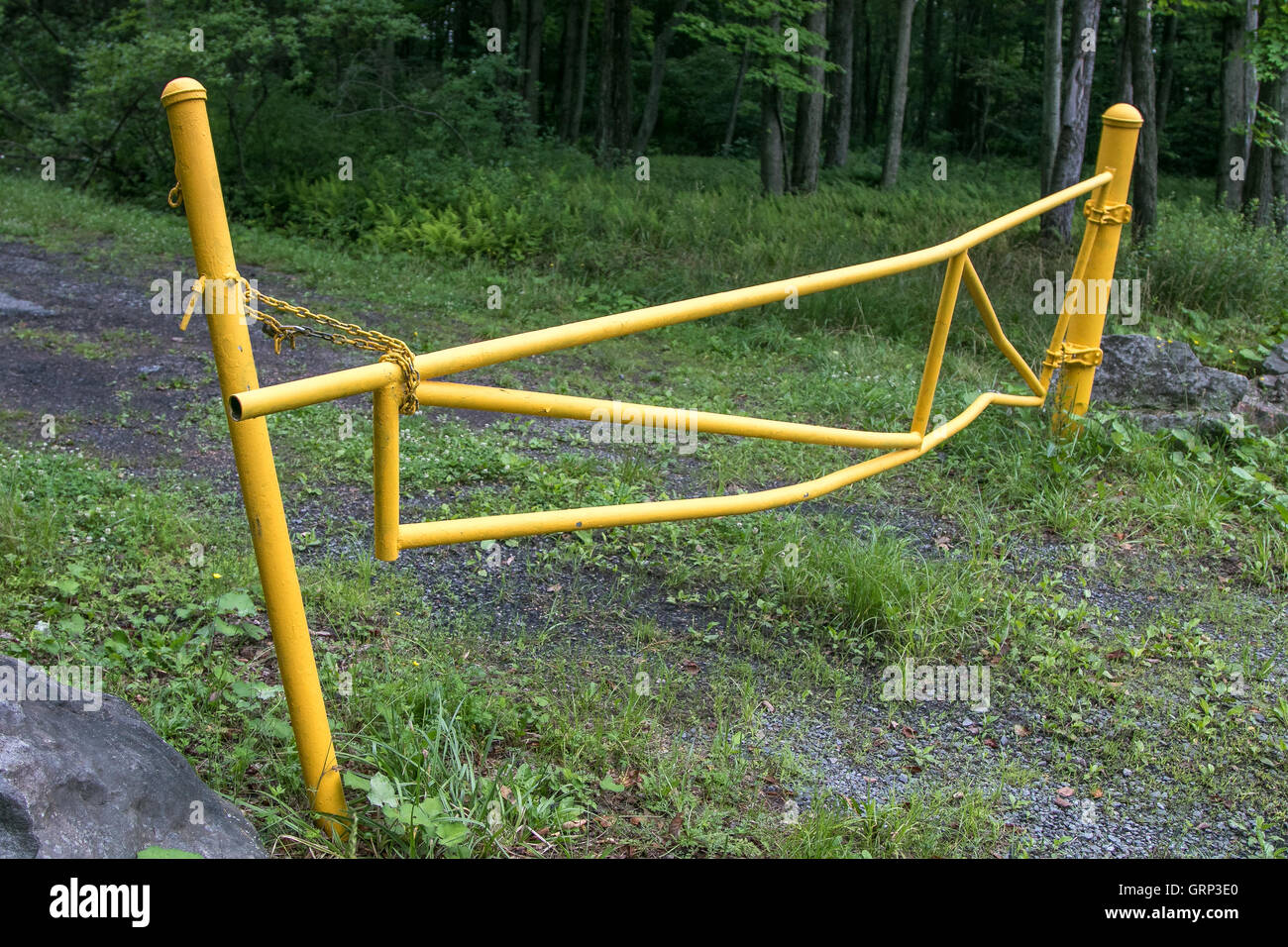 A yellow gate in the woods Stock Photo - Alamy