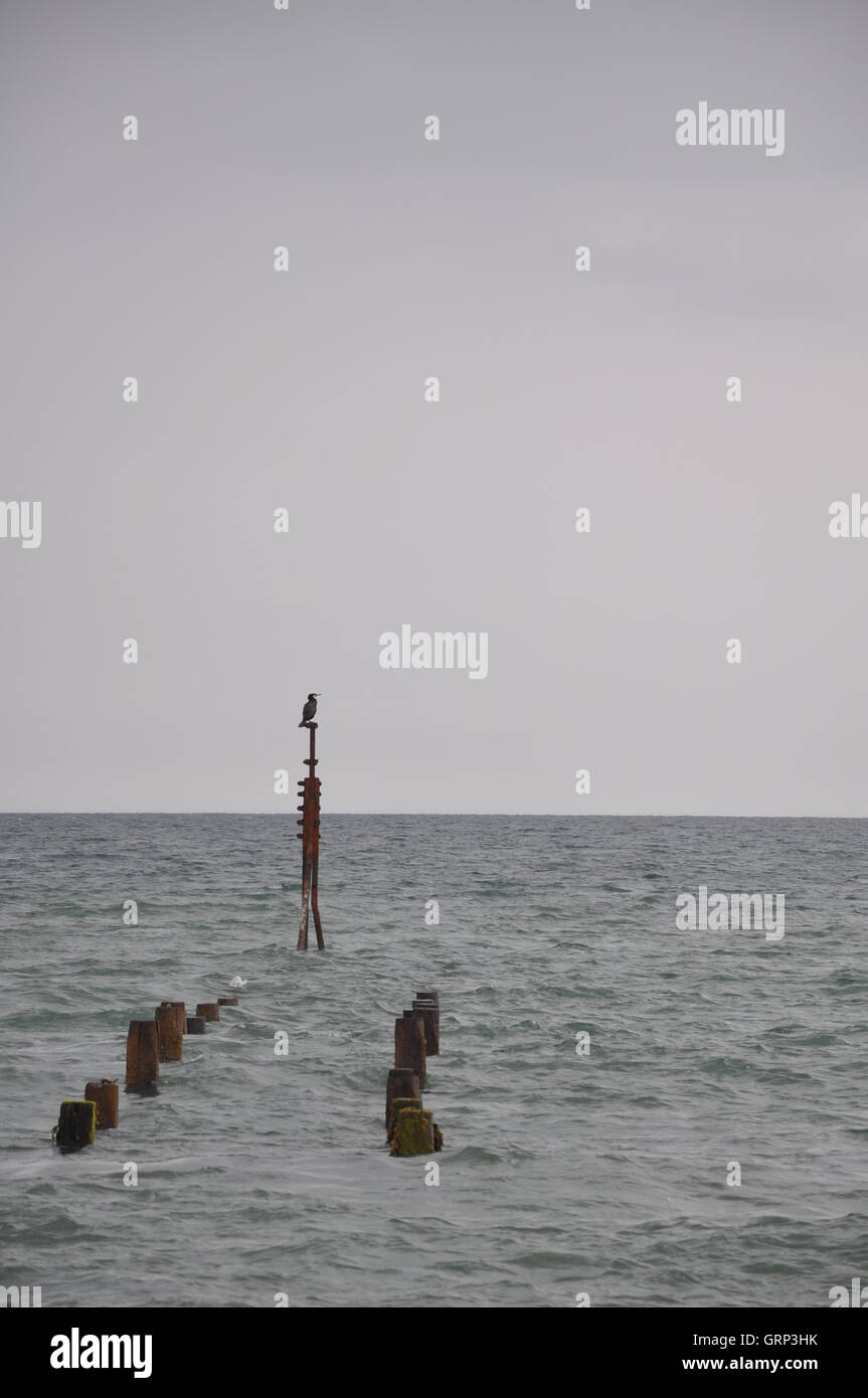 Groin marker hi-res stock photography and images - Alamy