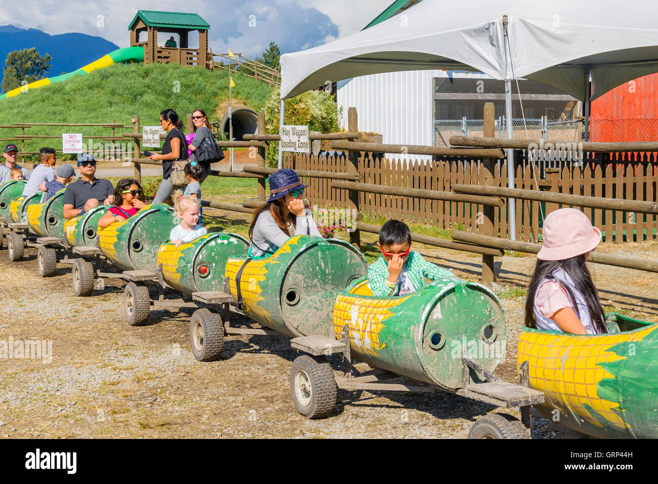 Hopcott's Meadows Corn Maze train, Pitt Meadows, British Columbia ...