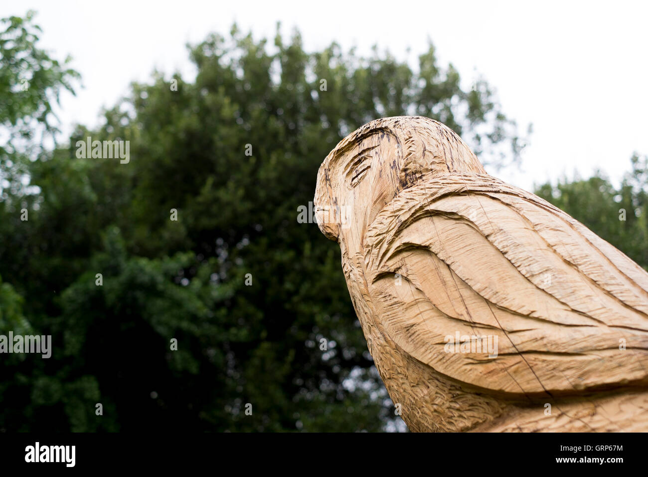 A wood carving created from a dead tree in the grounds of Castle Ashby ...