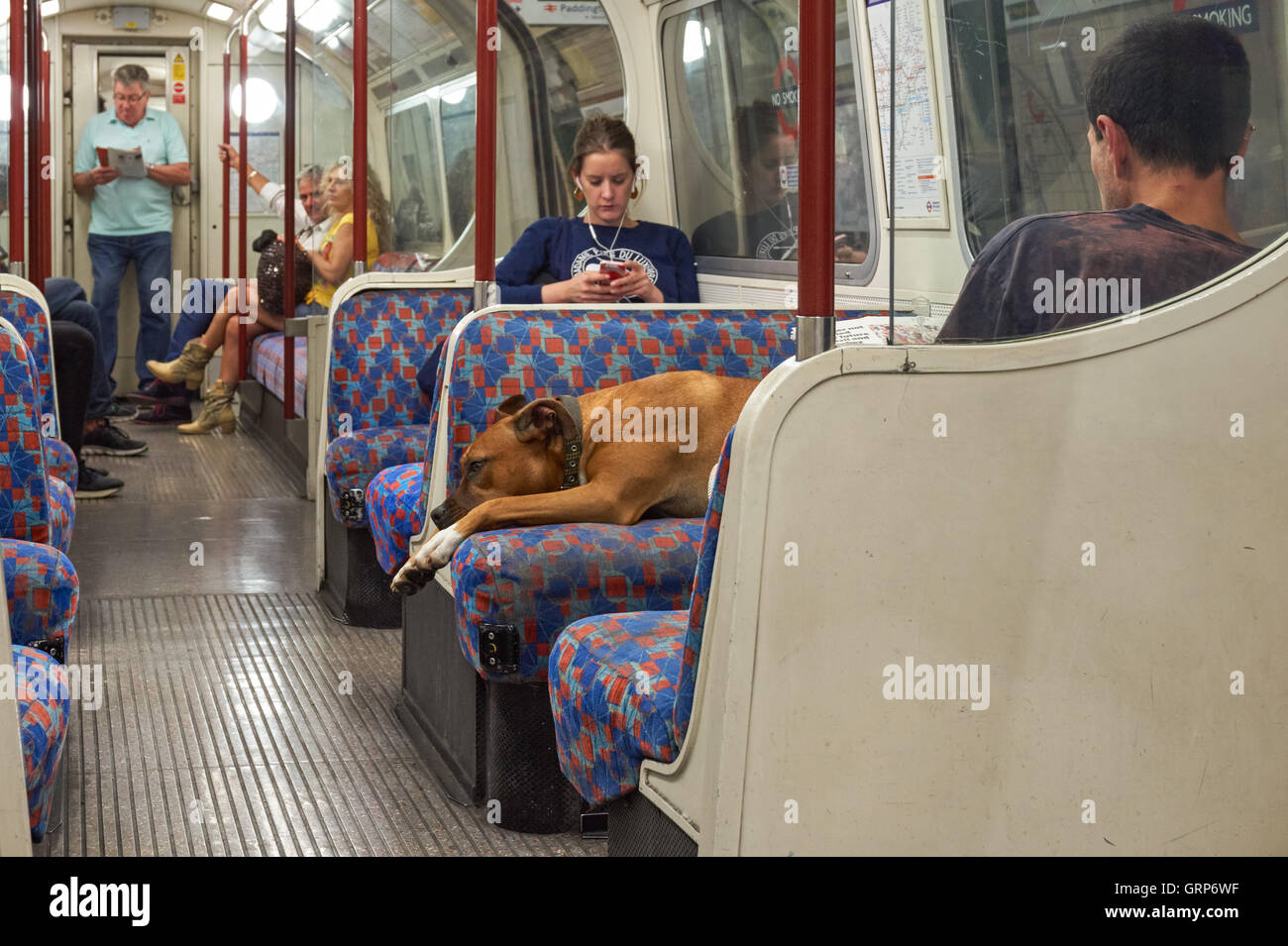 Bakerloo line hi-res stock photography and images - Alamy