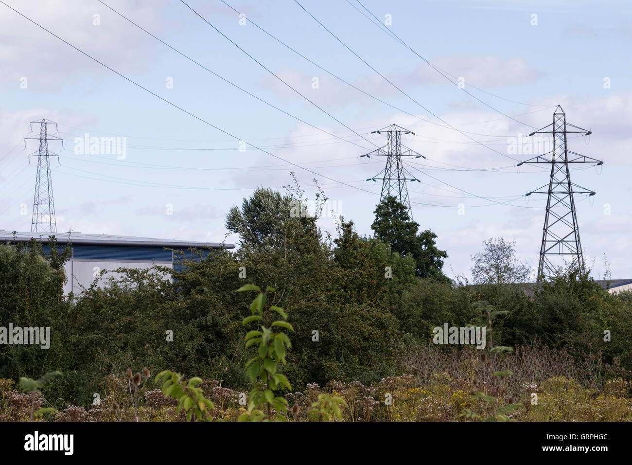 Leybourne Lakes Country Park, a former sand and gravel working in Kent ...