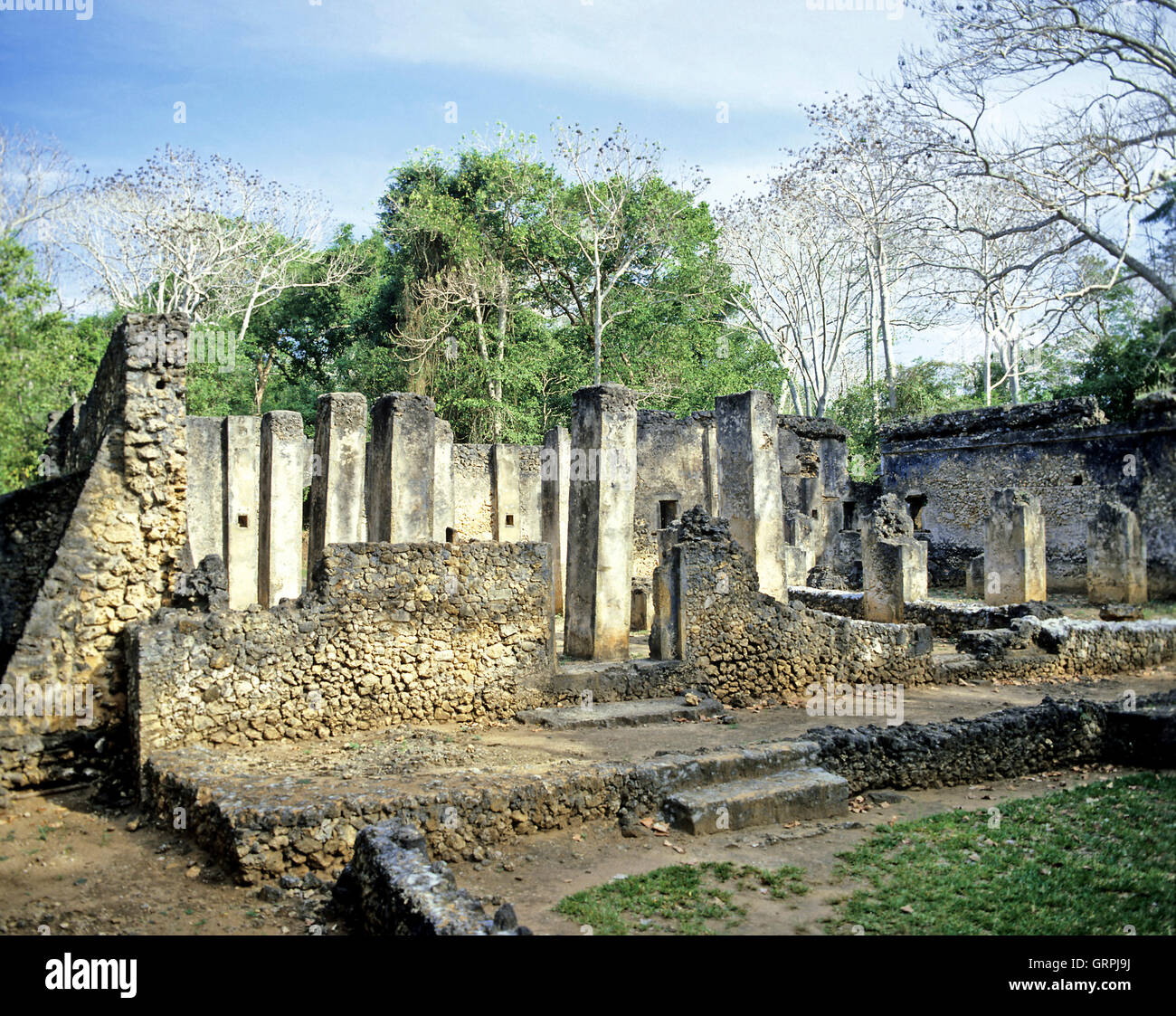 Ruins of Gedi, near Malindi, Kenya, East Africa Stock Photo - Alamy