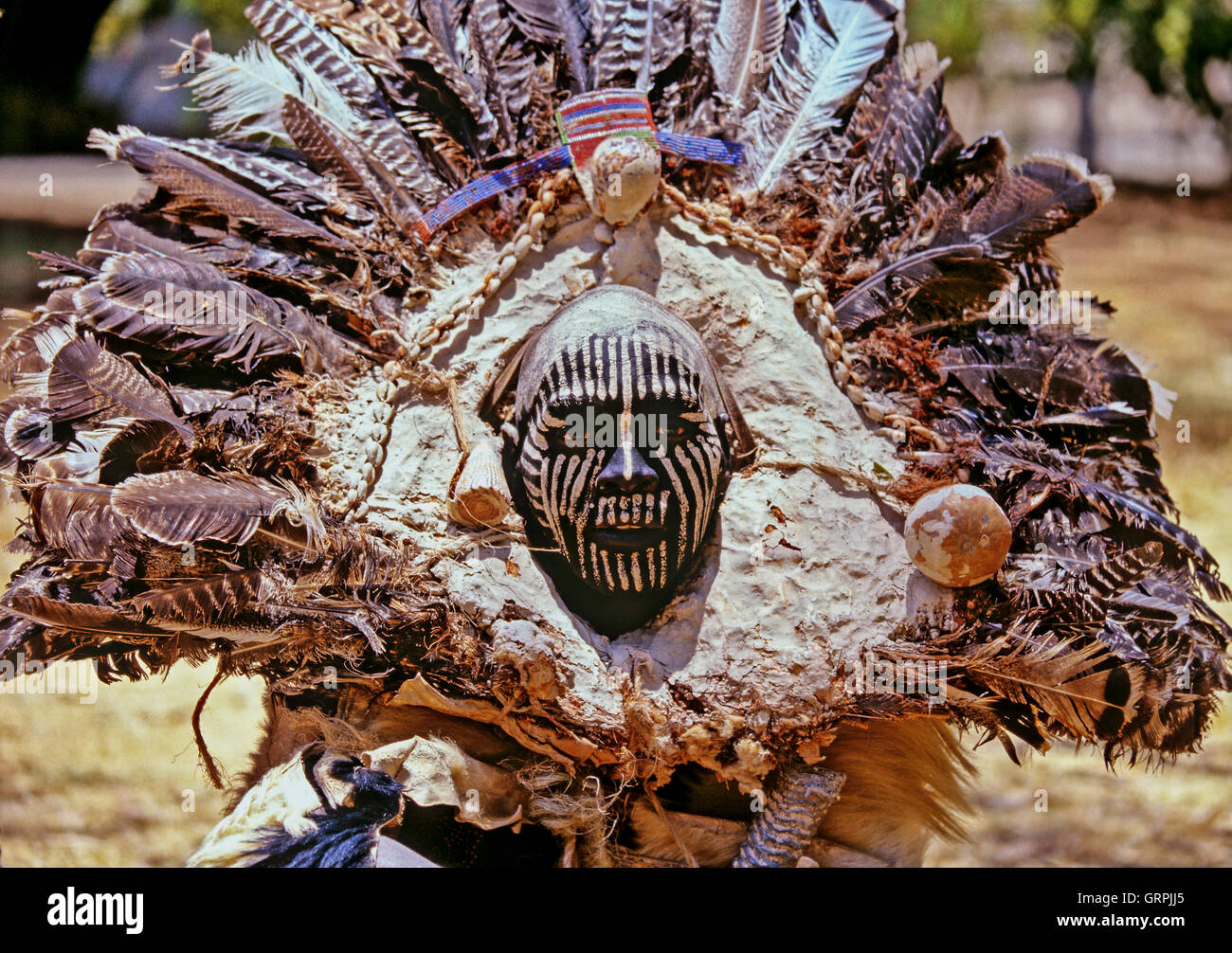 Kikuyu hi-res stock photography and images - Alamy