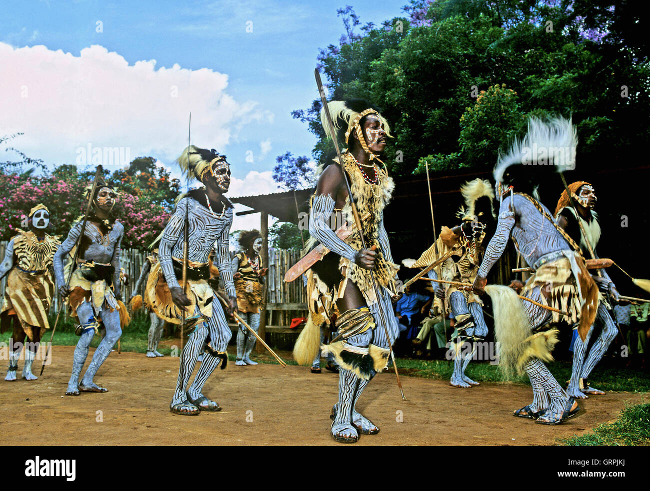 Kikuyu hi-res stock photography and images - Alamy