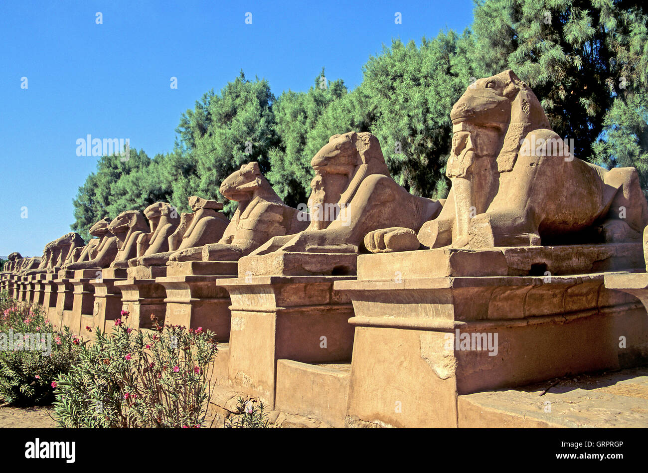 Amun Ra High Resolution Stock Photography and Images - Alamy