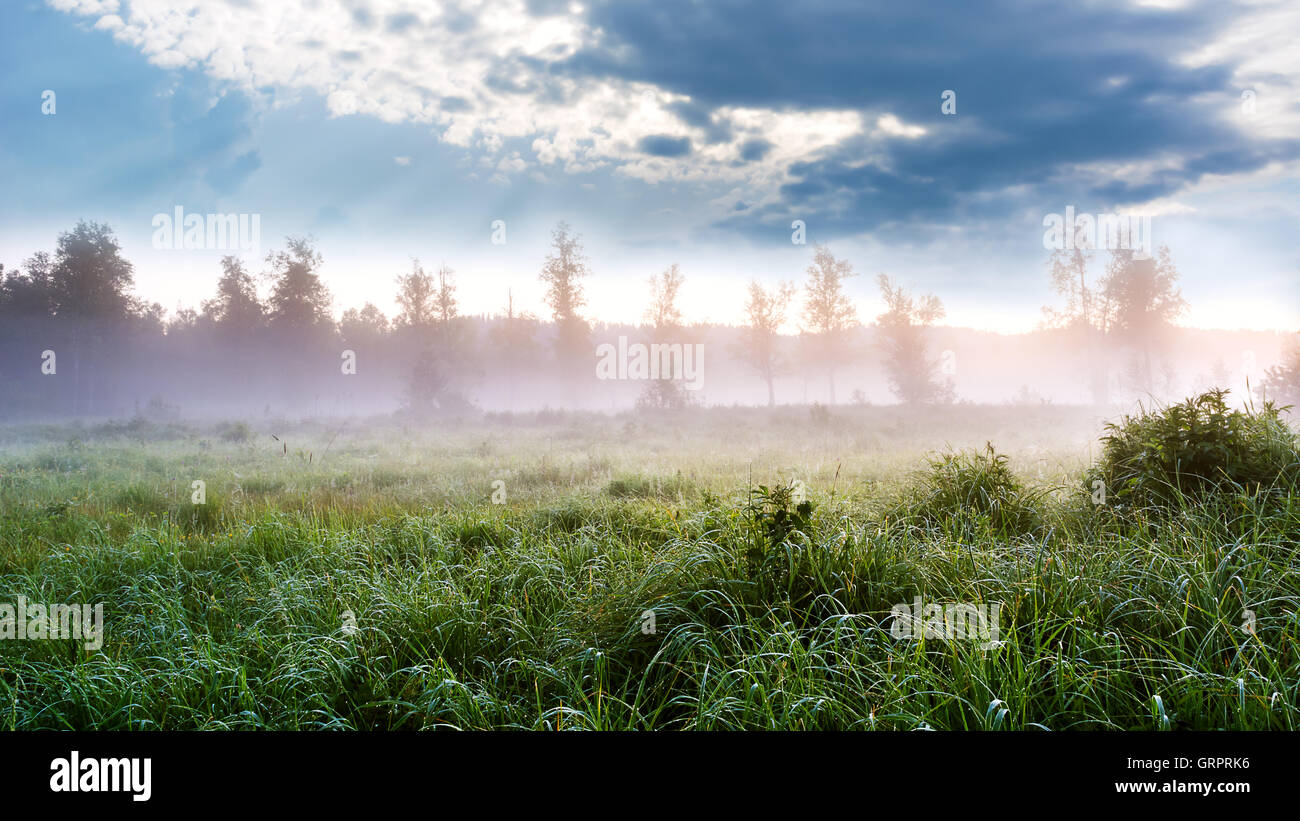 Beautiful landscape with dawn mist and morning dew. Summer idyllic ...
